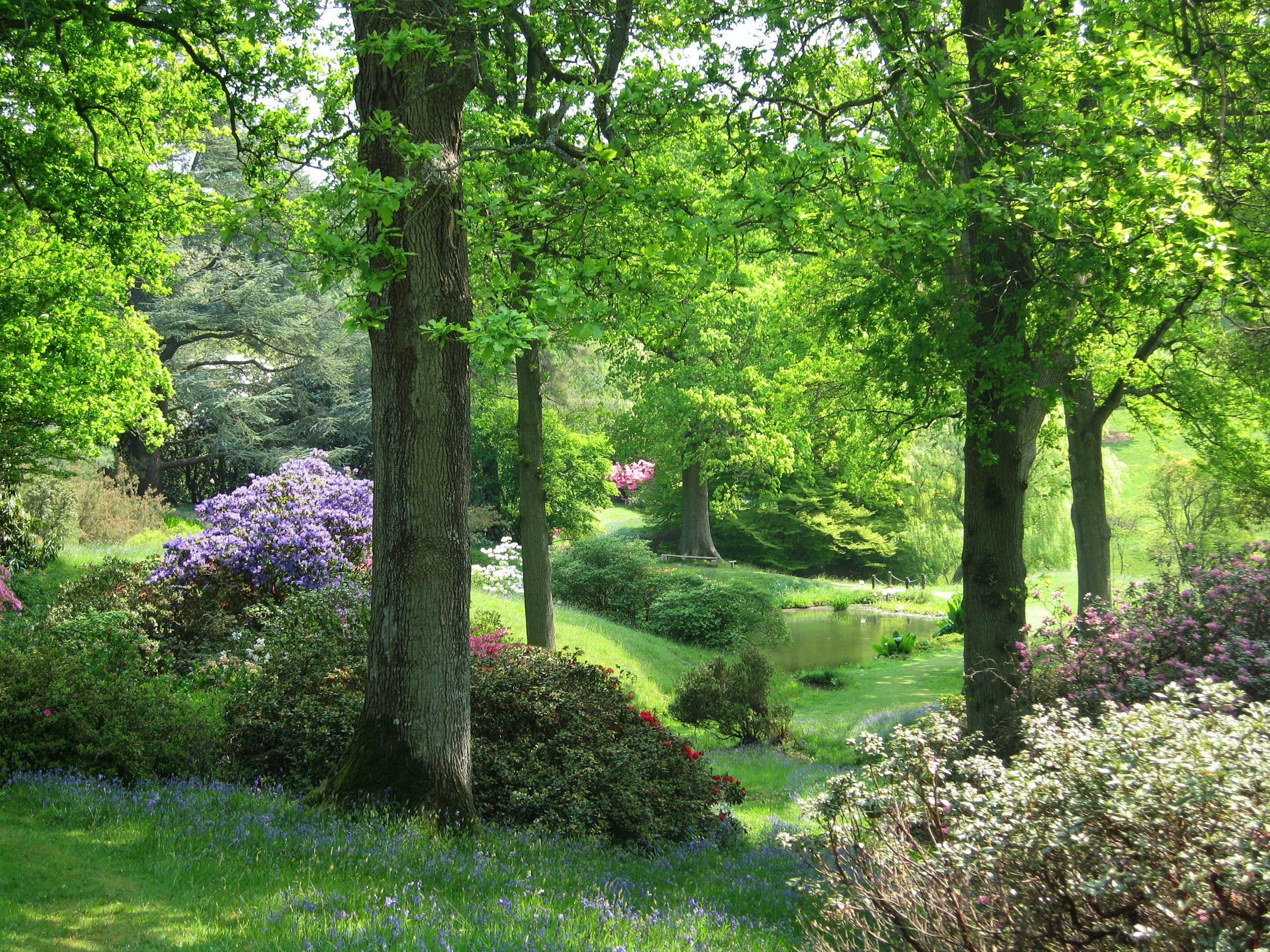 High Beeches Woodland and Water Garden - Visit Heritage Things to Do